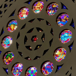 Life in Blossom: Simchas & Sorrows at Holy Blossom Temple – Holy ...